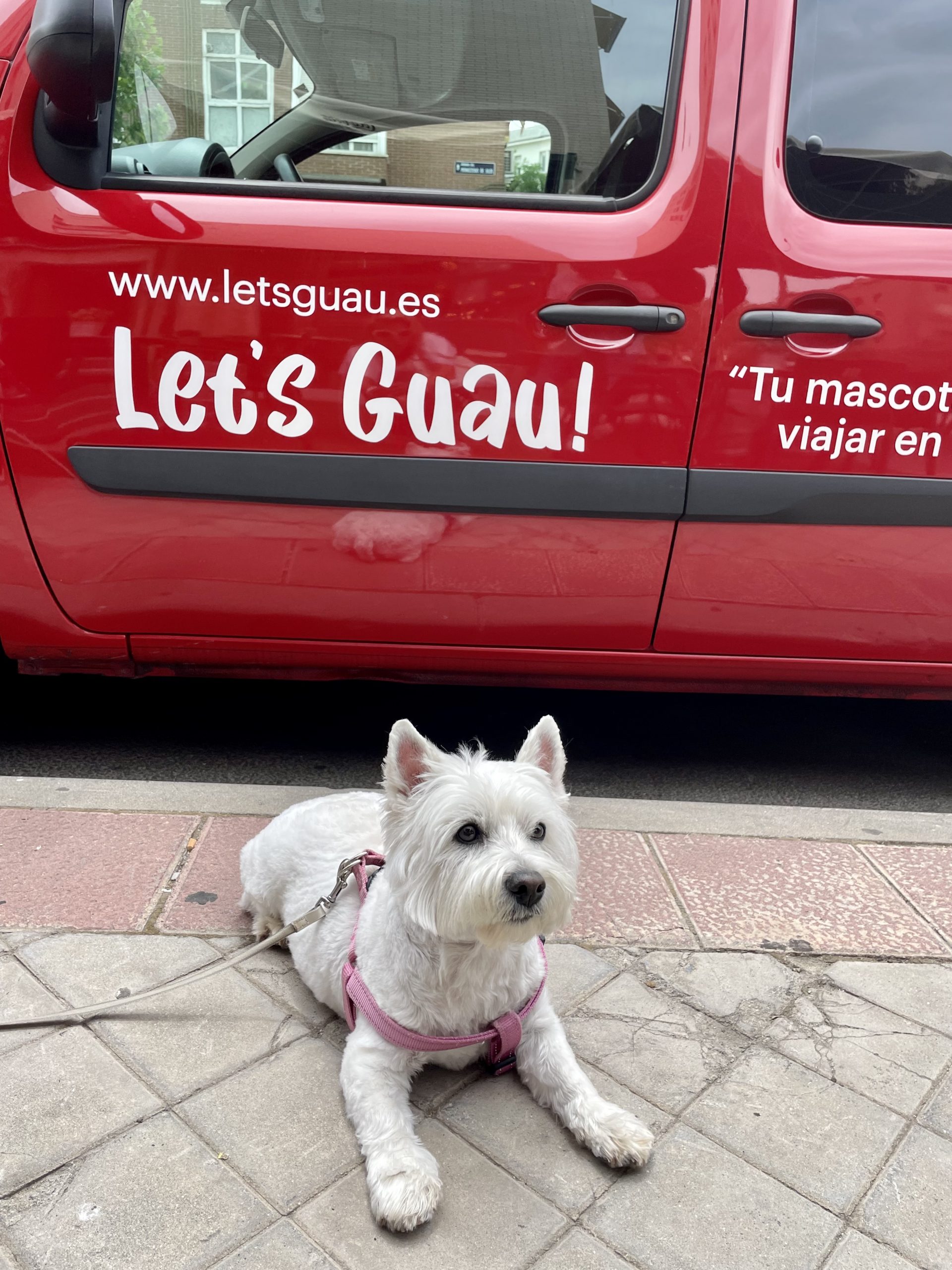 LET´S GUAU - Revista de Cine , viajes y tendencias